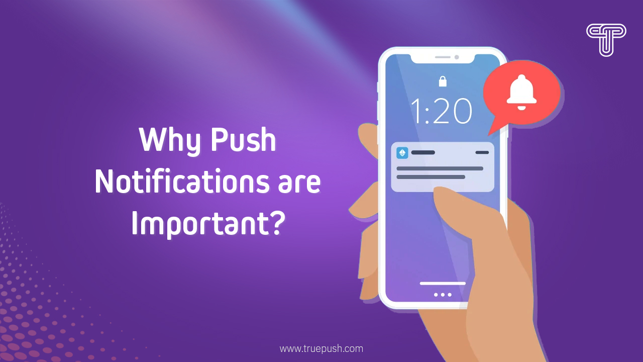 Why Drive Notifications are Crucial?